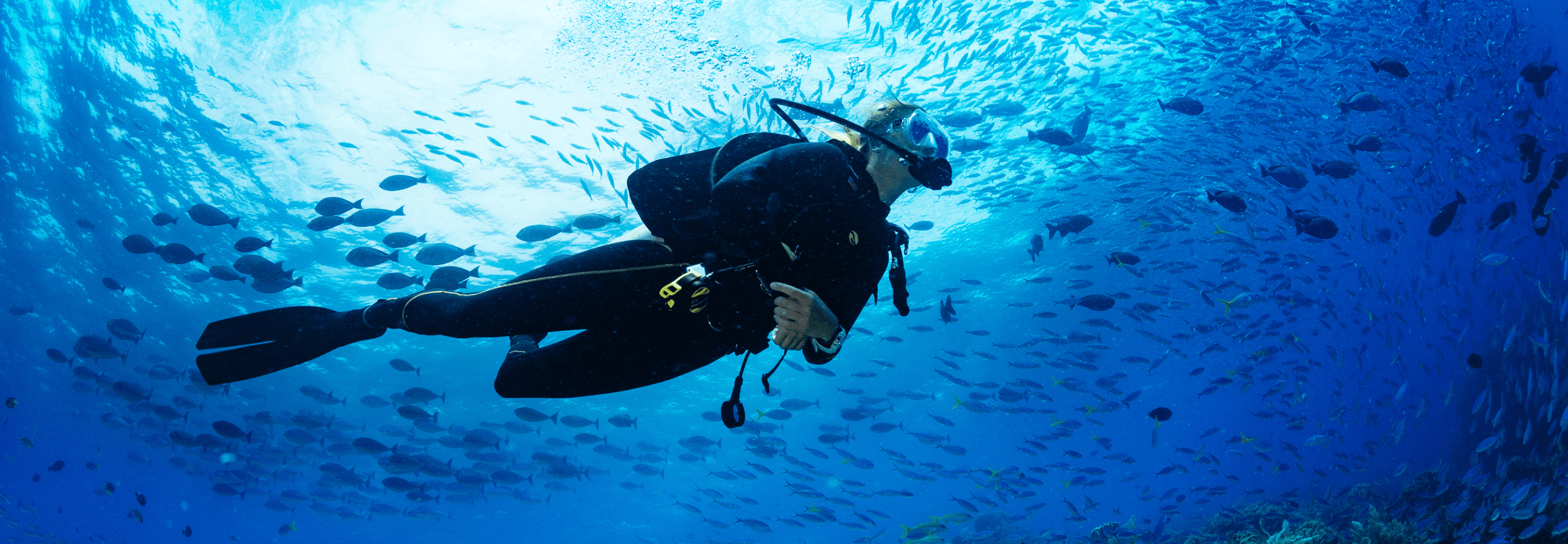 Catching up with Ocean SportsHow winning Tales of Triumph helped Ocean ...