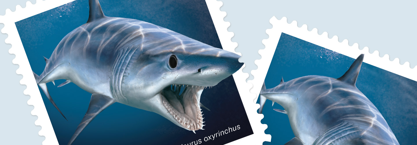 New stamp series highlights Canadian sharks - Magazine | Canada Post