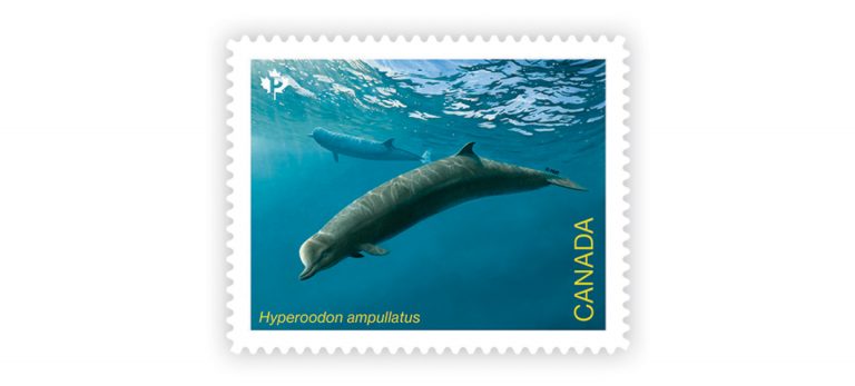 Stamps raise awareness about five endangered whale populations ...